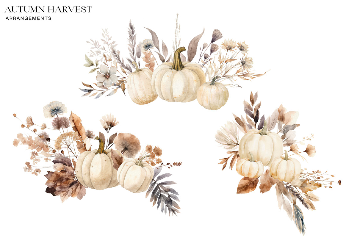 Watercolor Pumpkin Clipart Set, a Decorative Illustration by Patishop Art