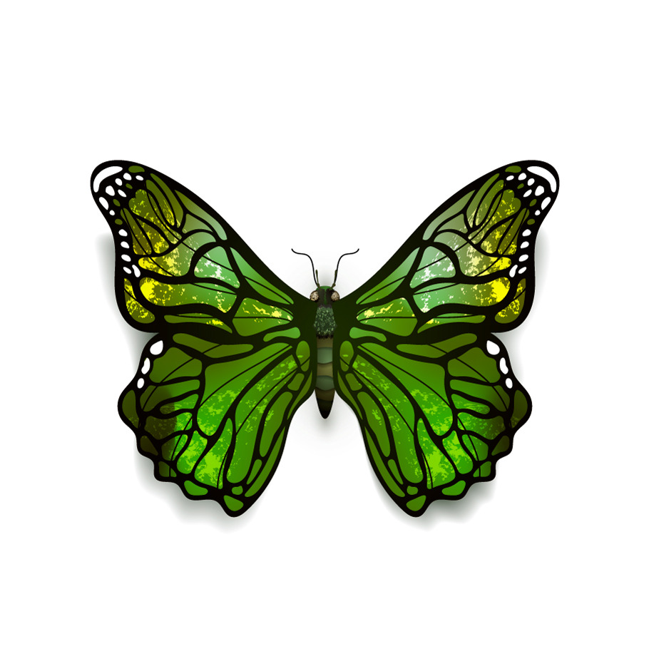 Beautiful green detailed butterfly, an Object Graphic by BestPics ...