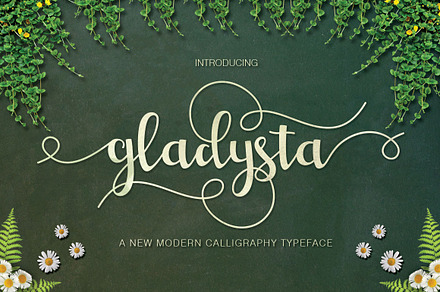 Bralyn Script | Script fonts ~ Creative Market