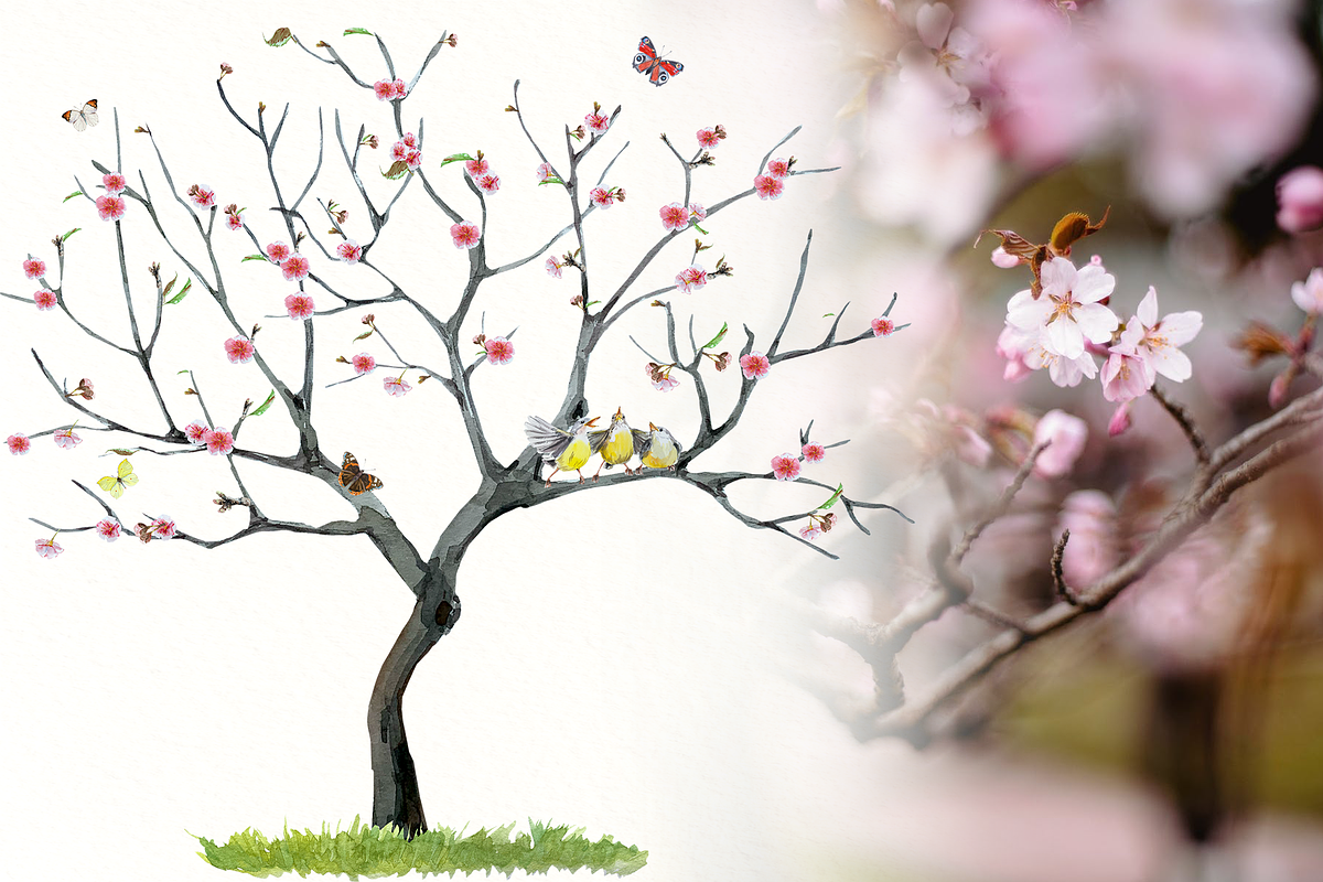 Four Seasons Clip Art Set, an Education Illustration by Tati Bordiu