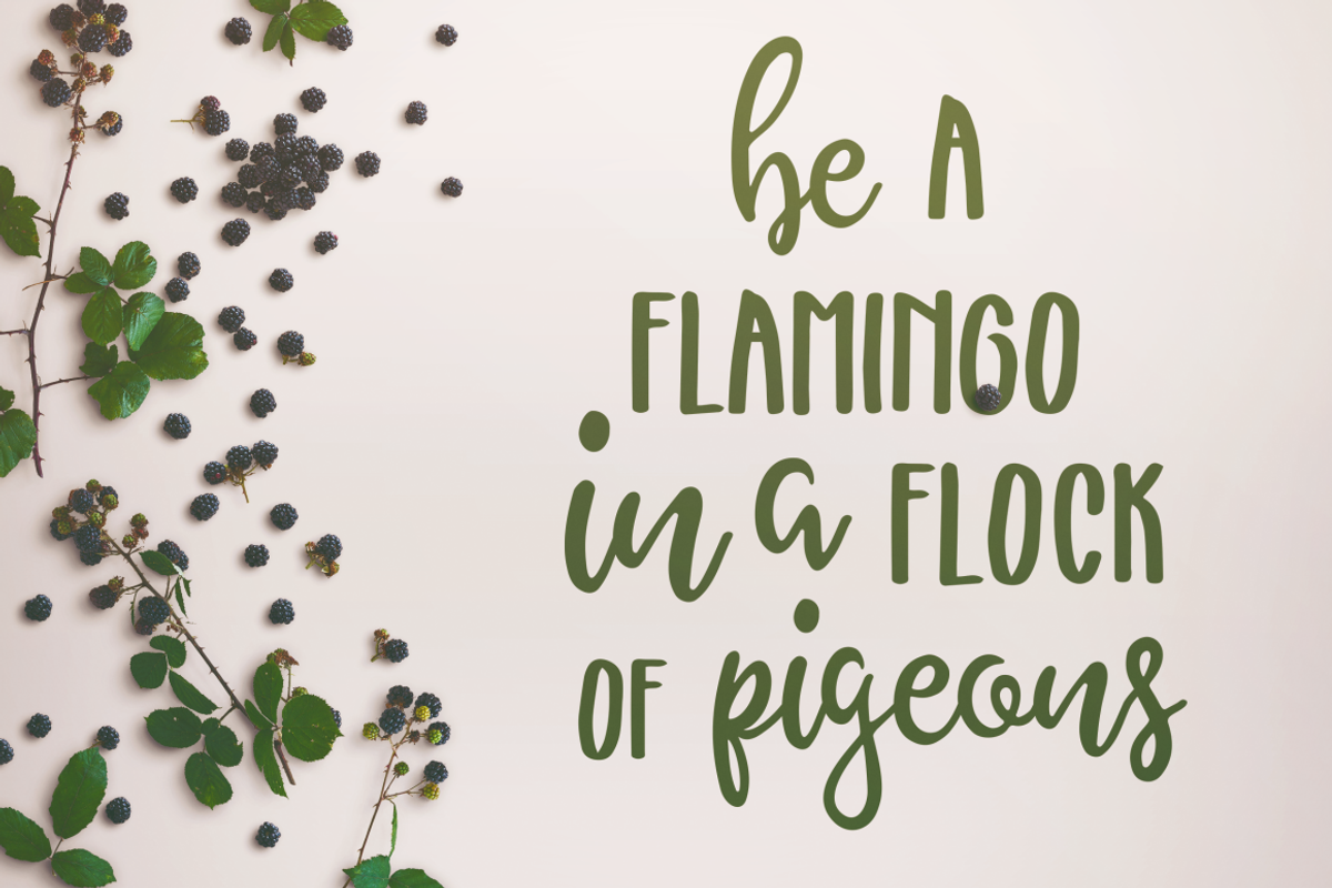 Alyssum Blossom, a Script Font by Bombastype