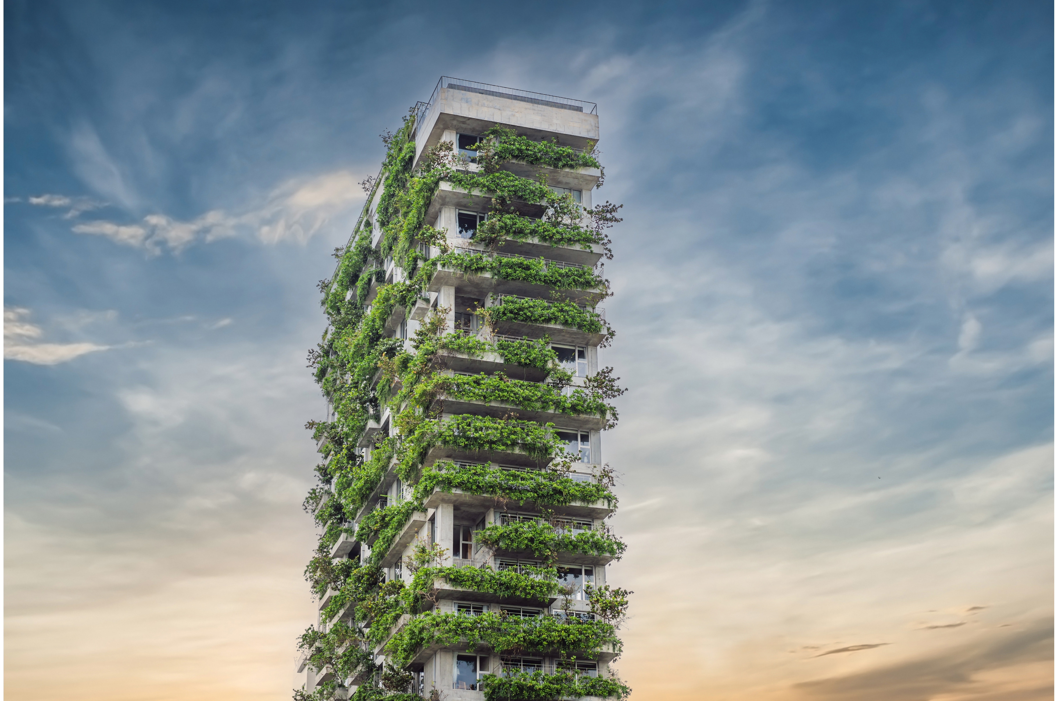 Eco architecture. Green cafe with, an Architecture Photo by Elizaveta ...