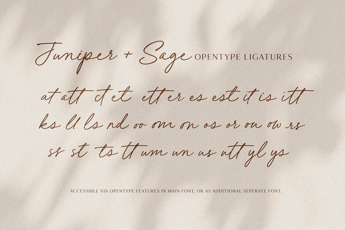 Juniper and Sage Script, a Script Font by Nicky Laatz