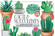 Watercolor cactus clipart set, an Illustration by ArtfulStudio