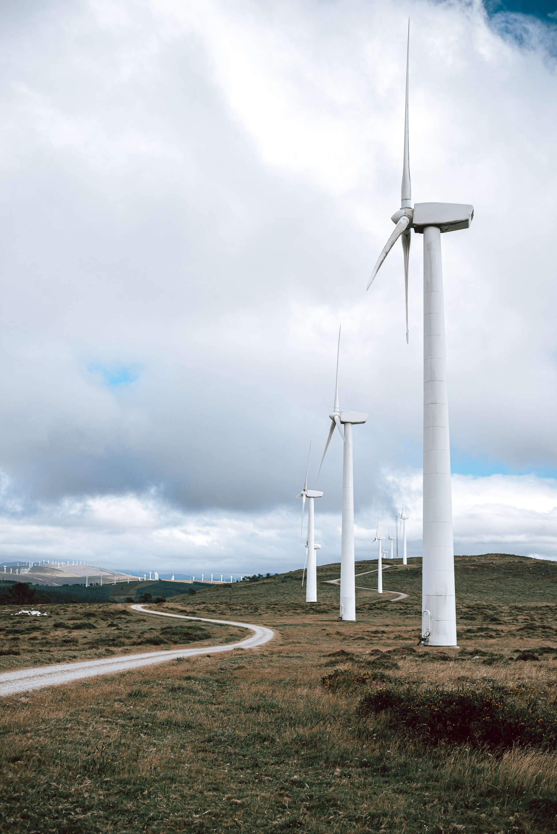 Wind turbines on an open field containing wind turbine, wind, and ...