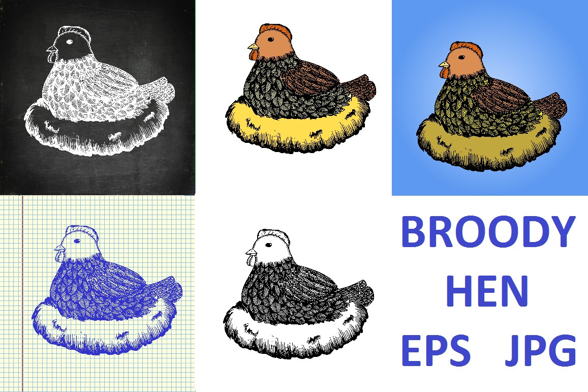 Broody hen in nest, an Animal Illustration by alex.hliv