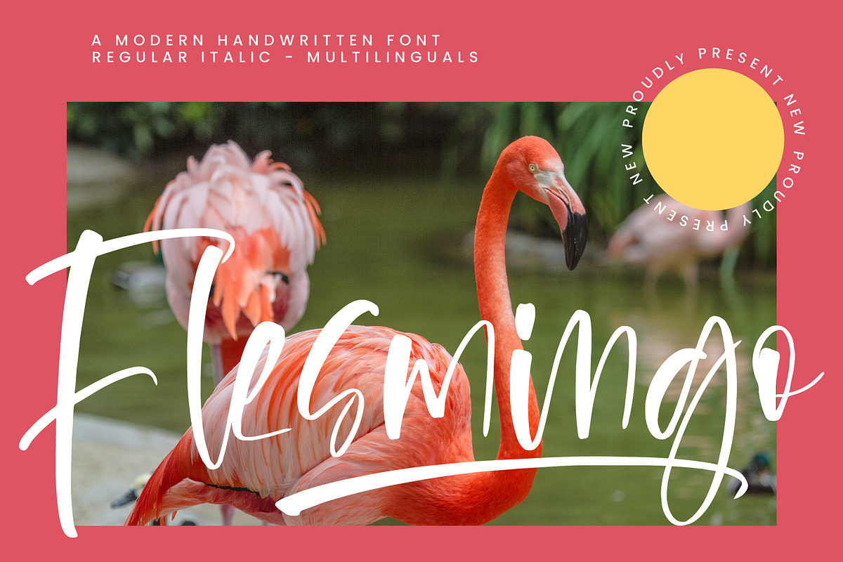 Flesmingo, a Handwritten Font by Integritype Studio
