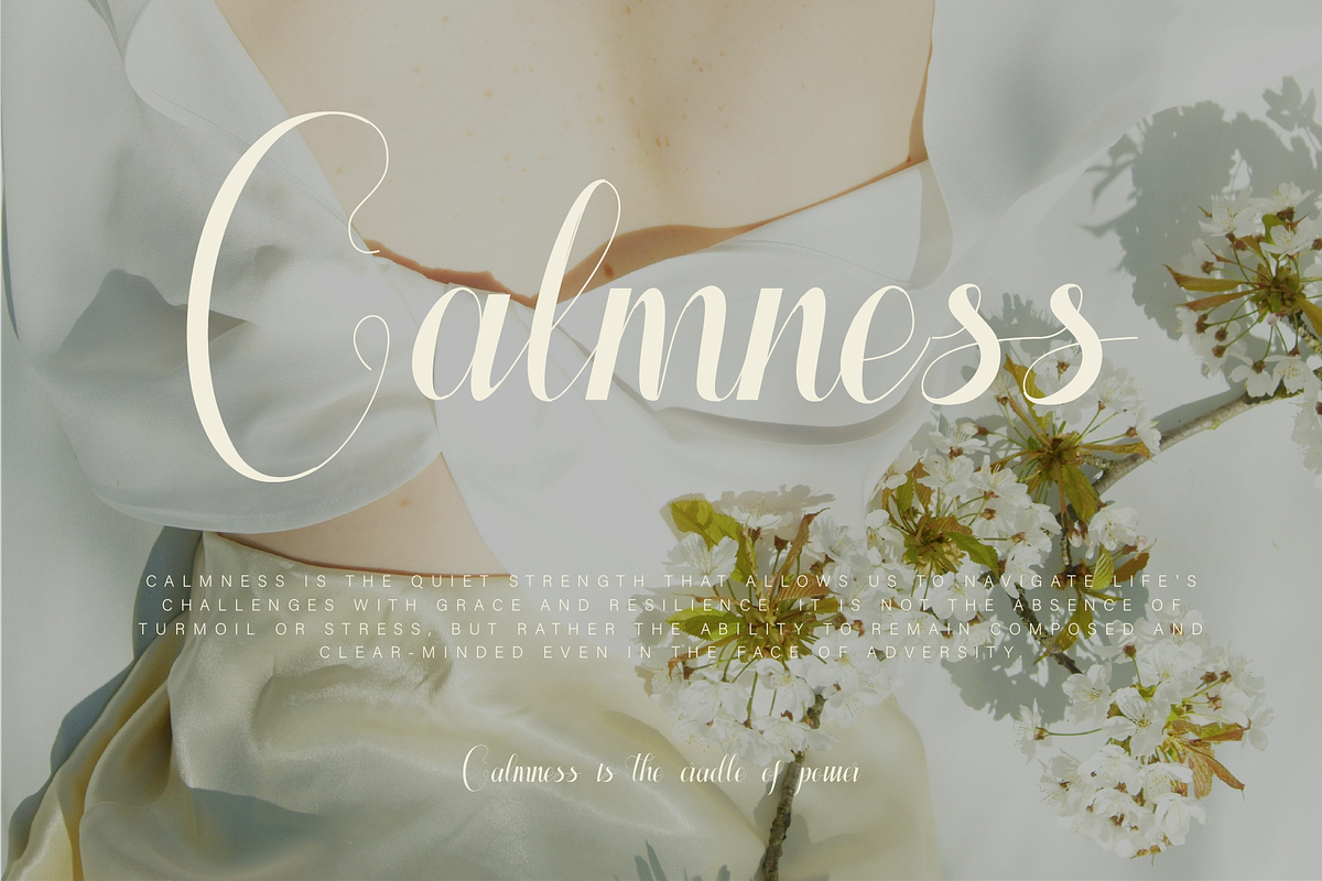 Duivor - A Handwritten Display Font, a Handwritten Font by Hanstype.com