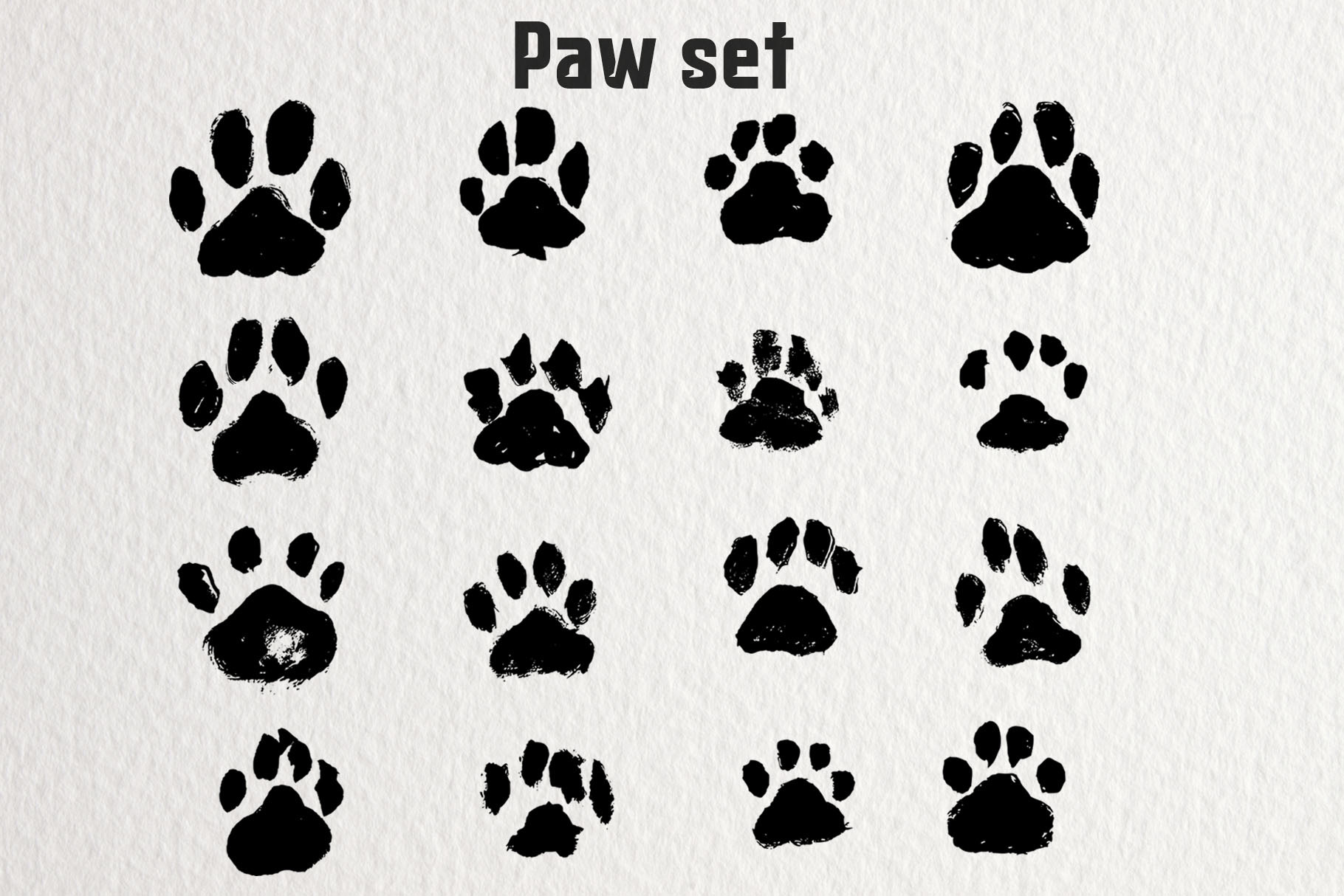 Paw print vector, an Animal Illustration by Sweet_print | Creative Market