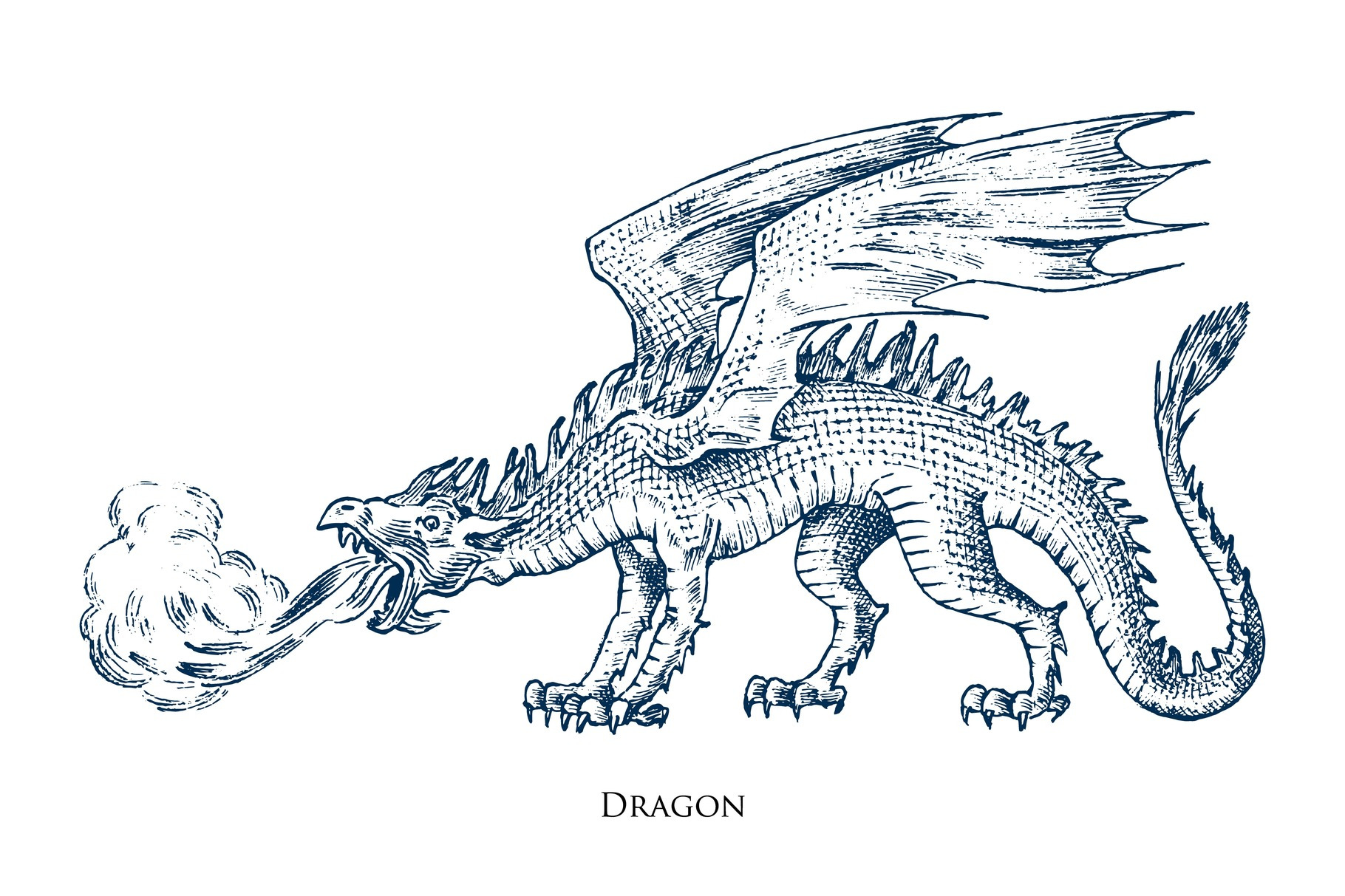 Chinese dragon. Mythological, an Animal Illustration by Arthur Balitskiy