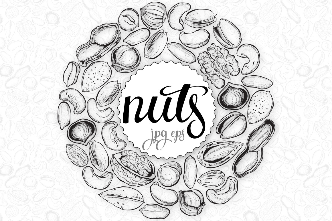 Nuts. Vector set., an Object Graphic by maritime_m