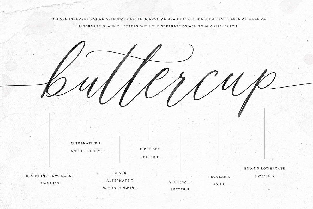 Frances | Modern Calligraphy Script, a Script Font by Pink Coffie