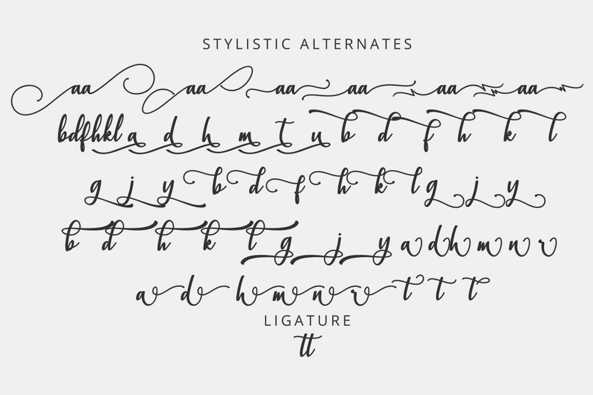 Carmilla Script, a Script Font by MSG Studio | Creative Market