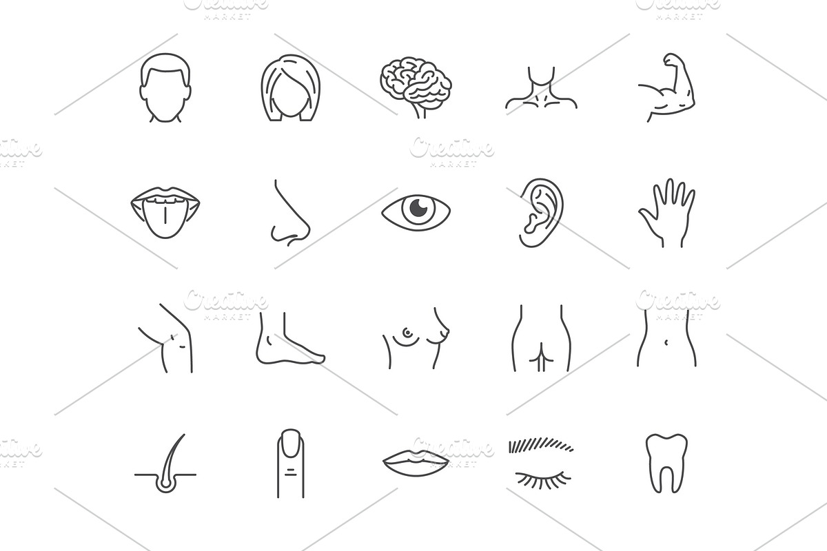 Body Parts Line Icons, an Outline Icon by Nadiinko