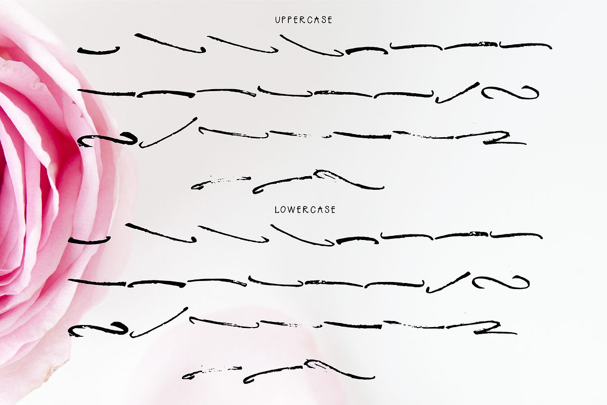 Ciao Bella Font + Extras, a Script Font by theinkaffair | Creative Market