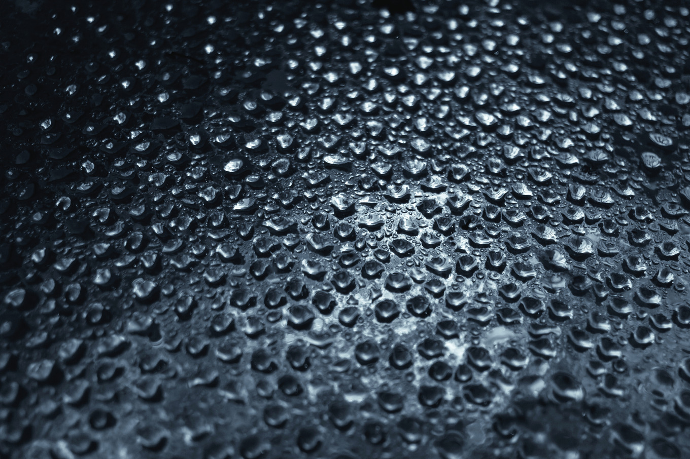 Rain drops background texture, an Abstract Photo by c l a r a X Y