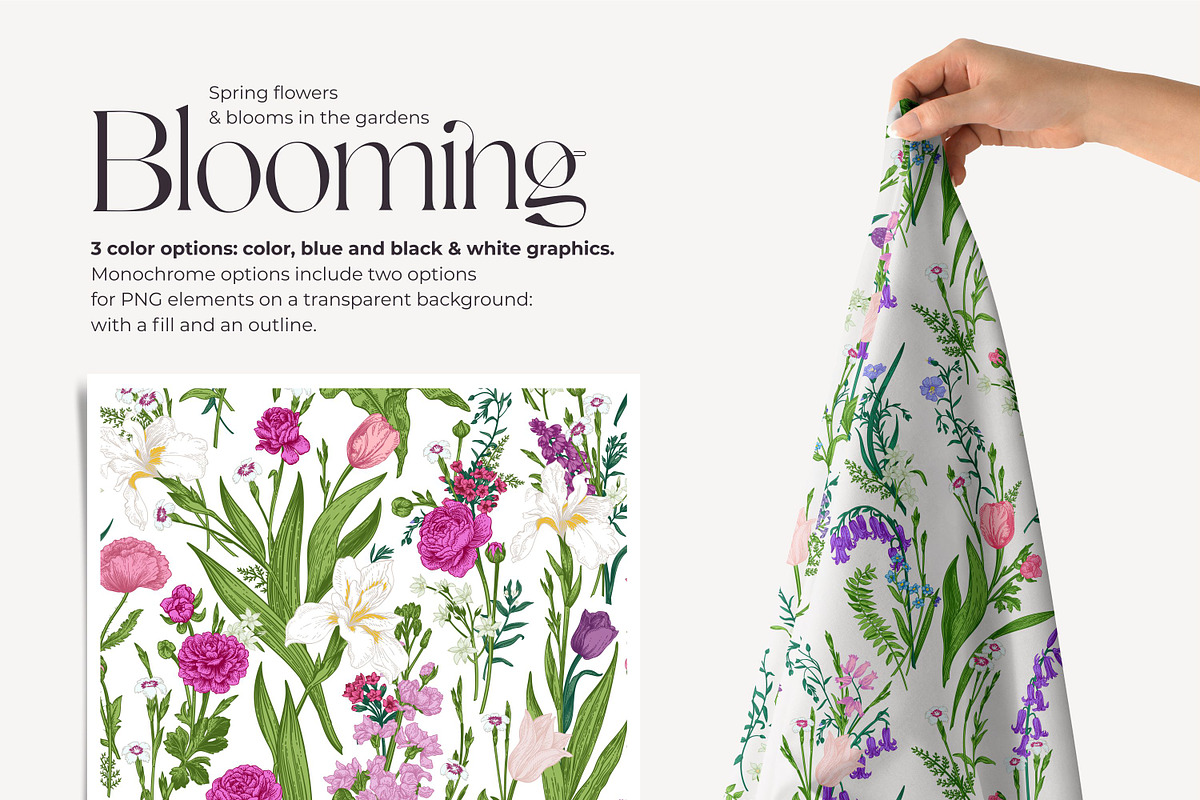 Blooming, an Illustration by Lisla