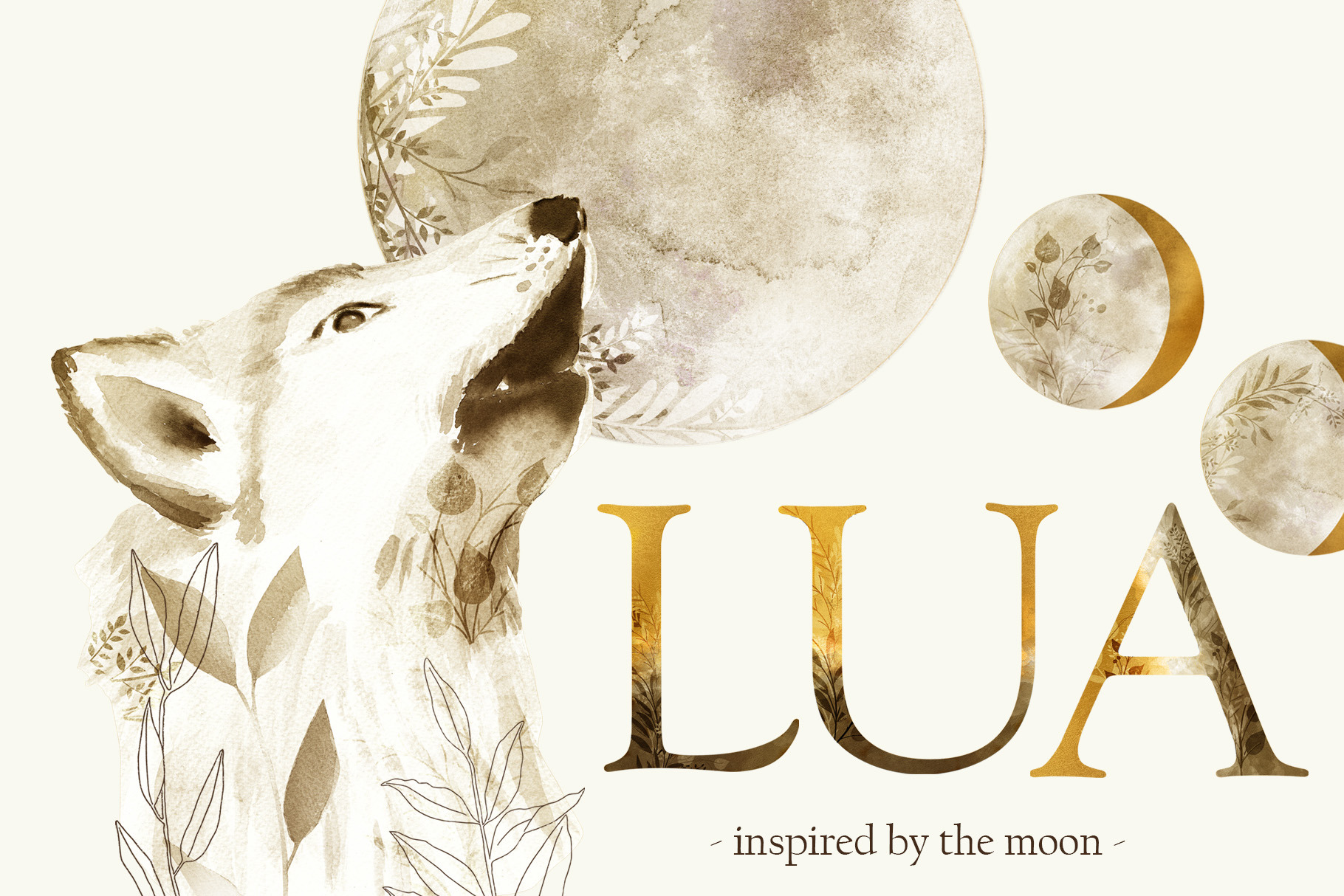 LUA, inspired by the moon, an Animal Illustration by Chus Moreno Studio