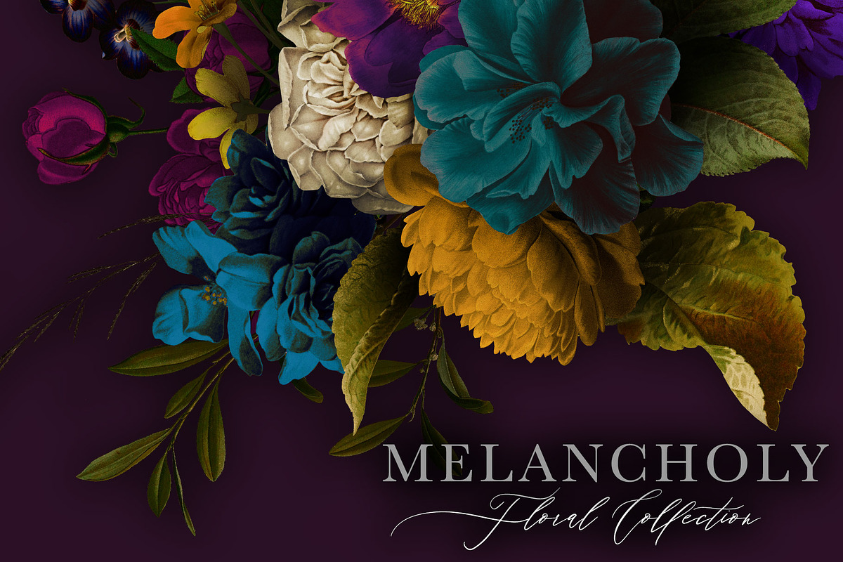 Melancholy Floral Collection, an Illustration by Eclectic Anthology