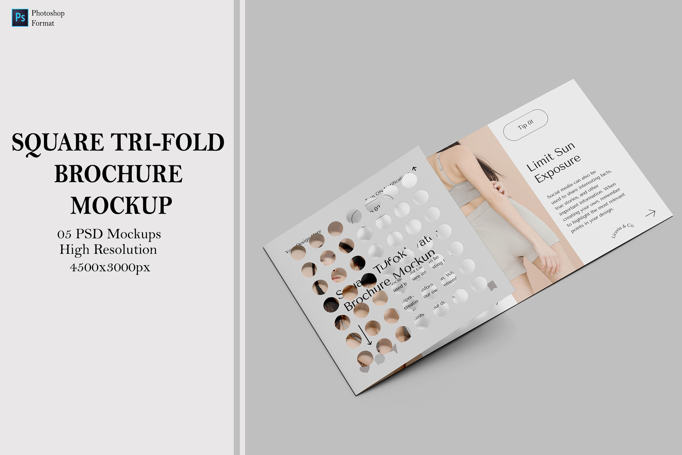 Square Trifold Brochure Mockup, a Books & Magazine Mockup by Ataku ...