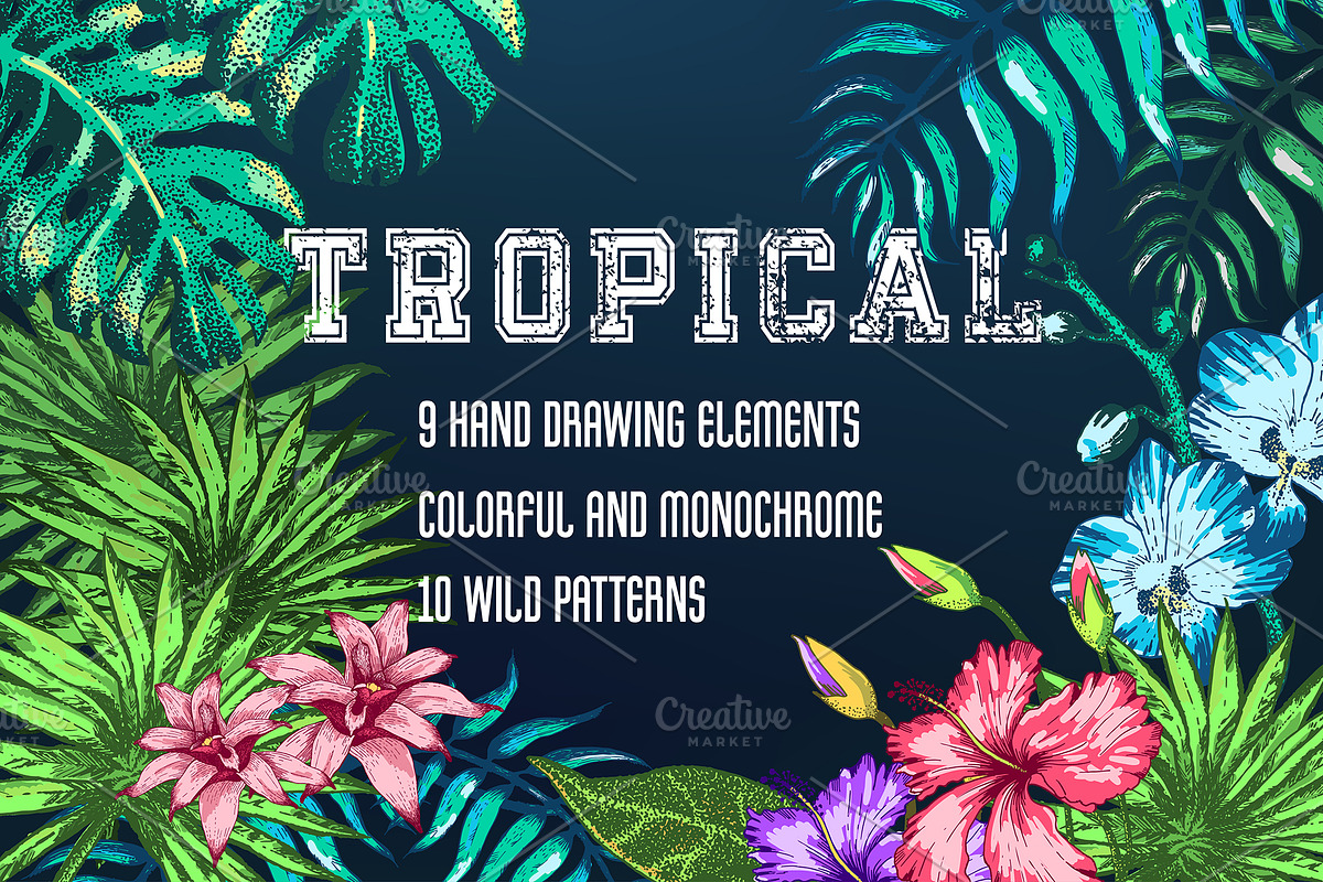 Tropical Plants and Patterns, a Texture Illustration by Katyr