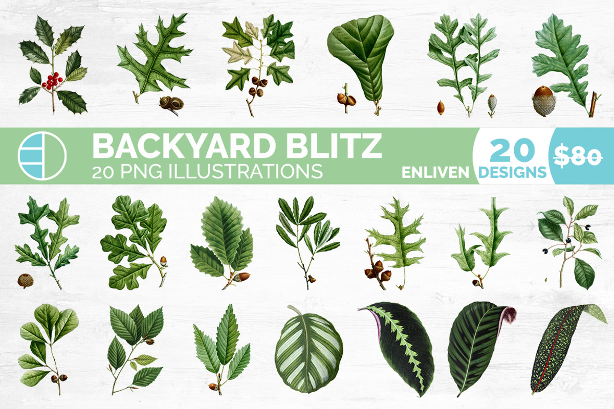 Leaves Bundle (20 Leaves), an Illustration by Enliven Designs