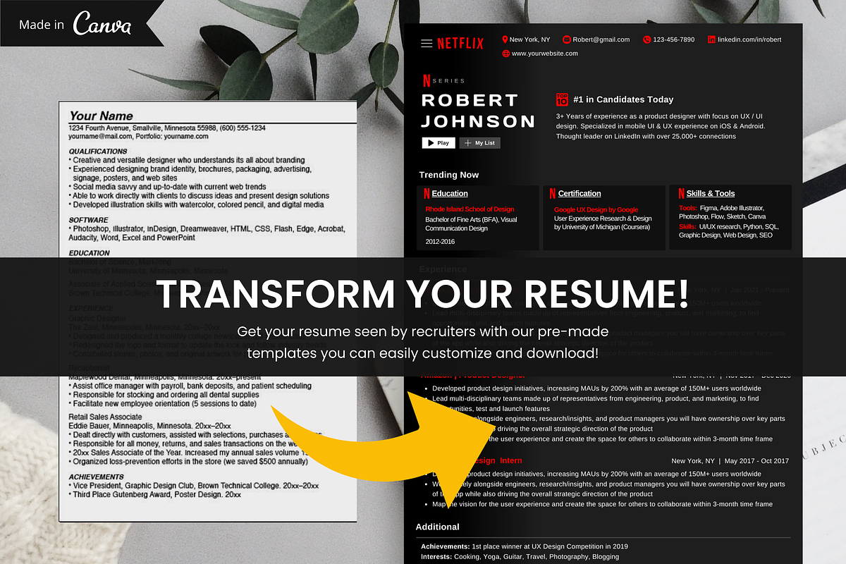 Netflix Resume Template 2023 ATS CV