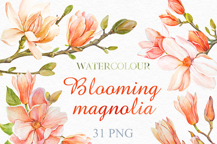 Spring Floral Watercolor Clipart Set | Illustrations ~ Creative Market