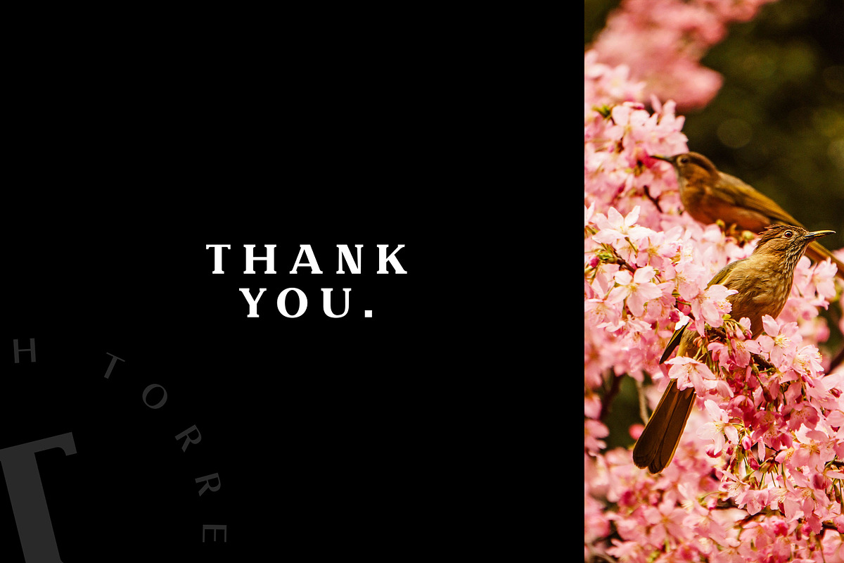 Torres Font Family, a Serif Font by AndrewPixel