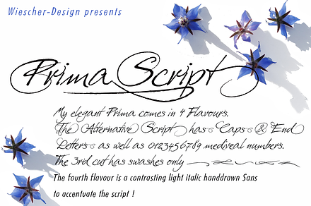 Obsession Script, a Script Font by Wiescher Design