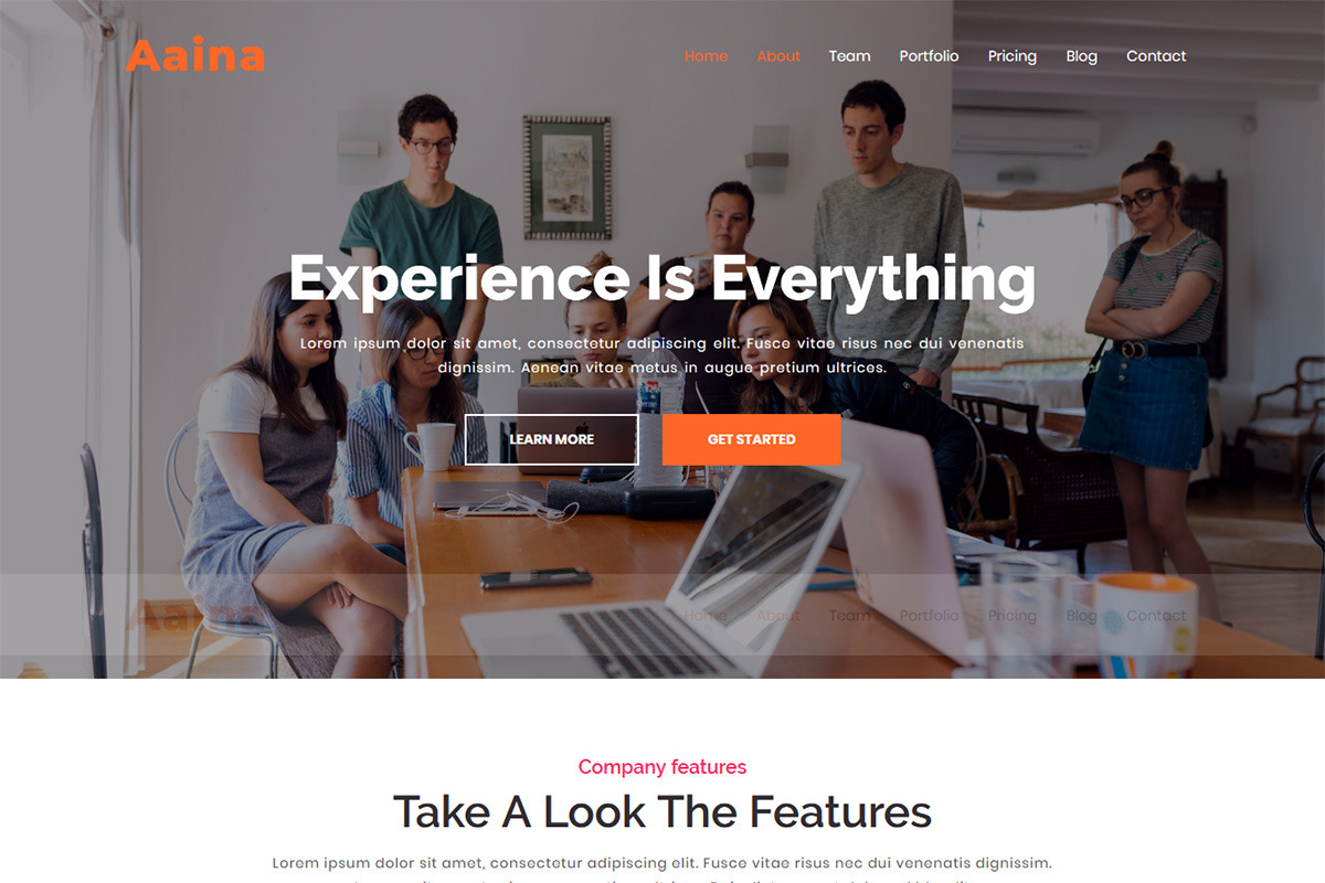 Aaina - Business WordPress Theme, a WordPress Template by Themesvila