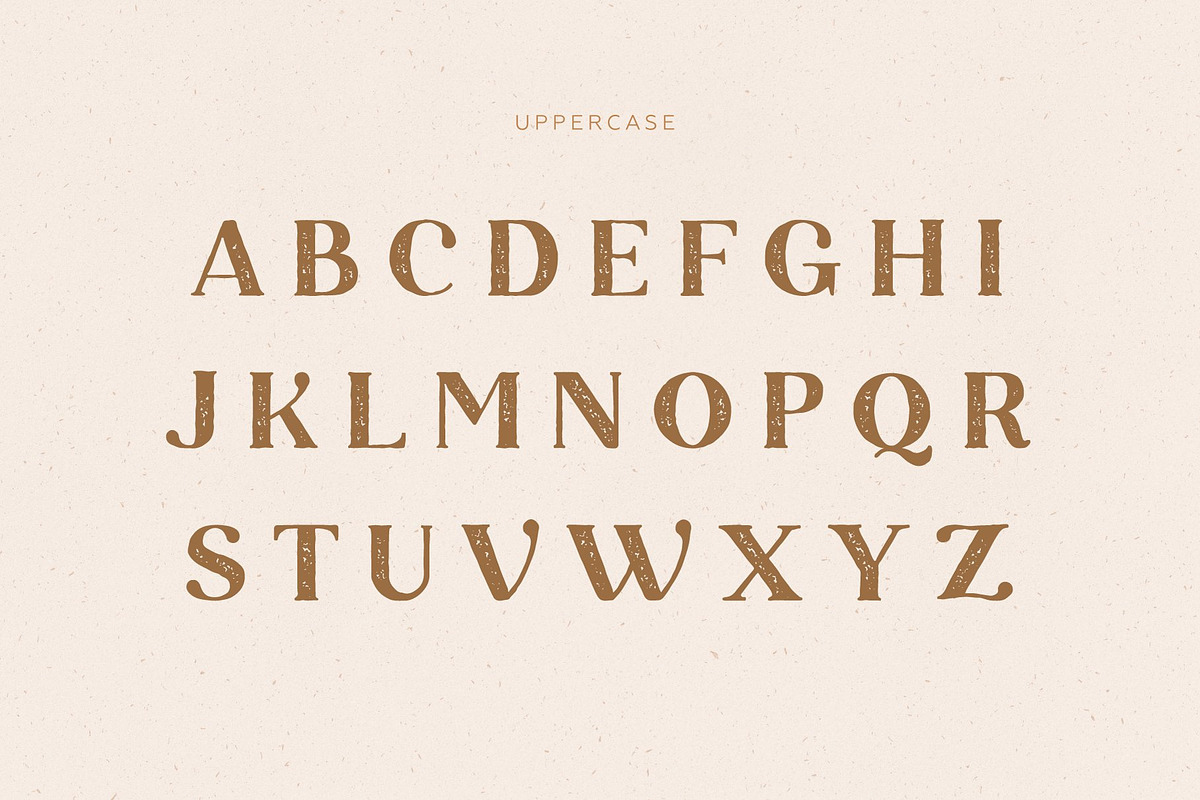 Touch | Serif Font, a Serif Font by AngelinaKovel | font touch, touch ...