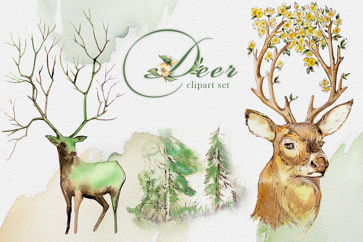 Watercolor Deer Clipart Set, an Animal Illustration by ...