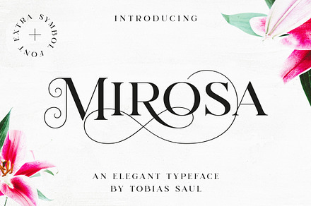 Favor Typeface, a Font by hampura