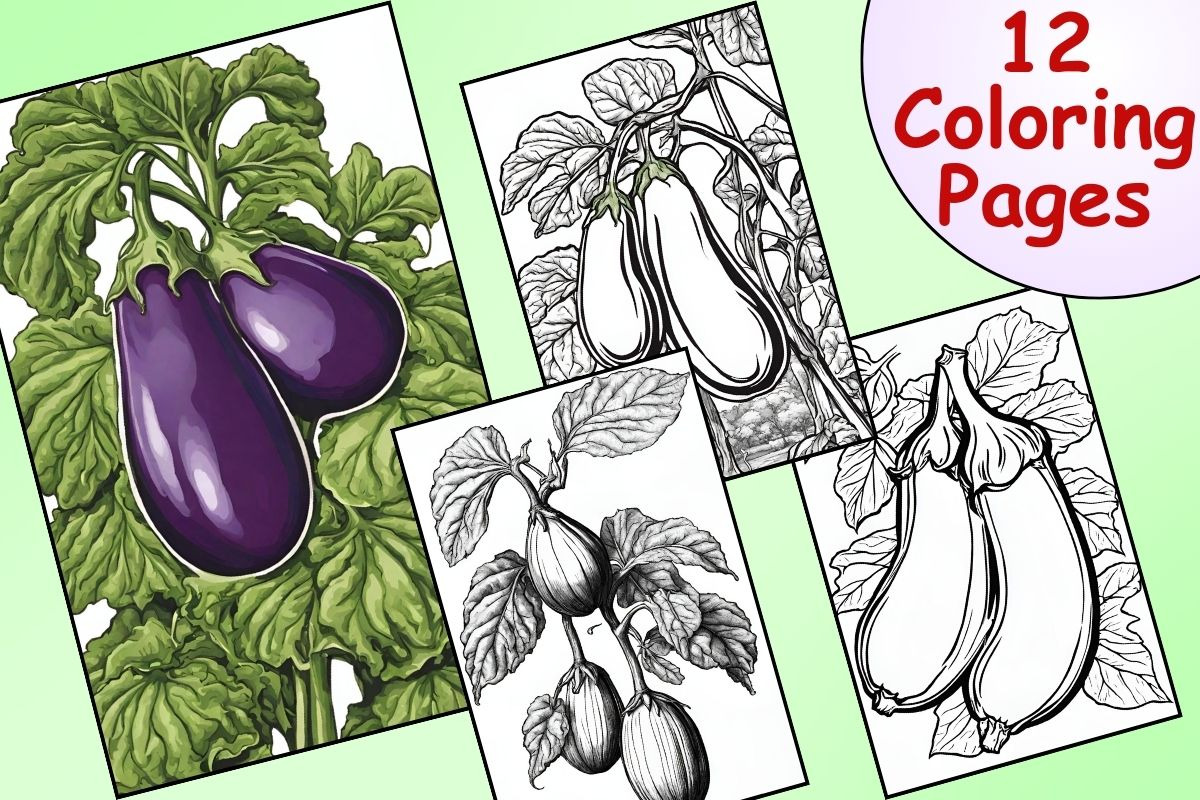 Engaging Brinjal Coloring Pages, an Illustration by Catchy Ideaz ...