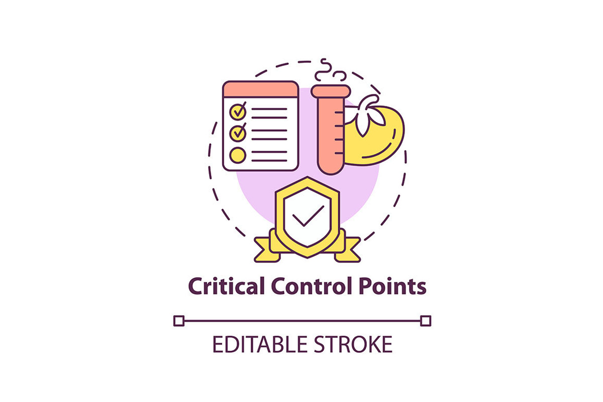 Critical control points concept icon, an Icon by IMG Visuals