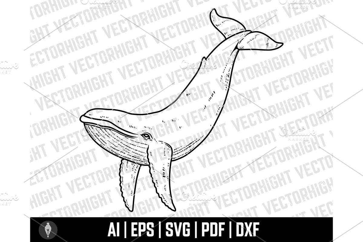 Whale Clipart SVG, Sea Whale Shape, an Animal Illustration by Vectorhight