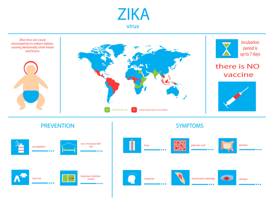 Zika virus infographics, a Templates & Theme by TeaGraphicDesign ...