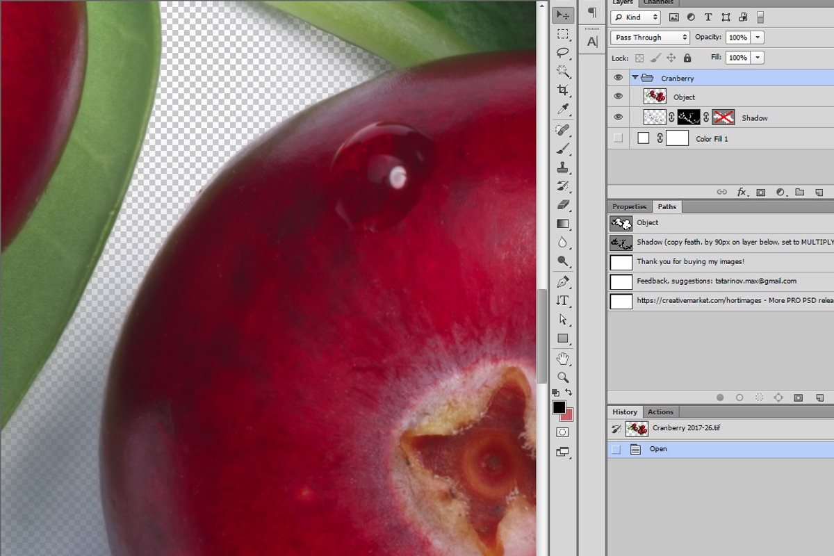 Cranberry, an Object Graphic by Hortimages