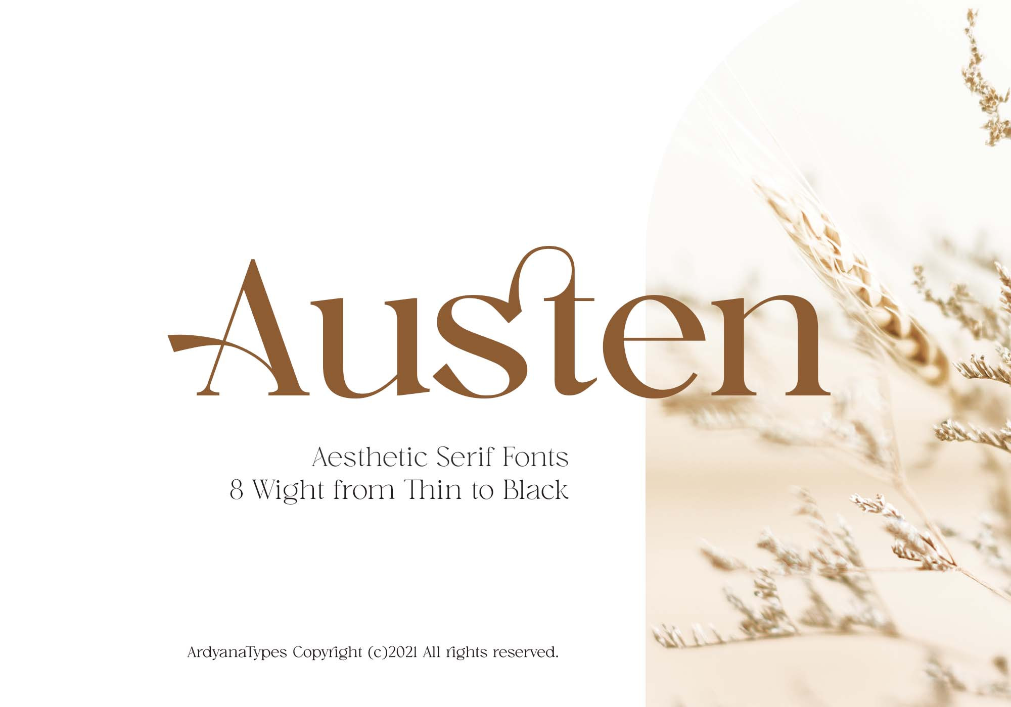 Austen - Aesthetic Serif Fonts