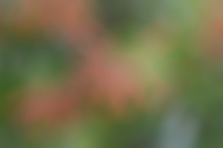 Fine Art Digital Texture, a Texture Graphic by Nancy Hebert Photography