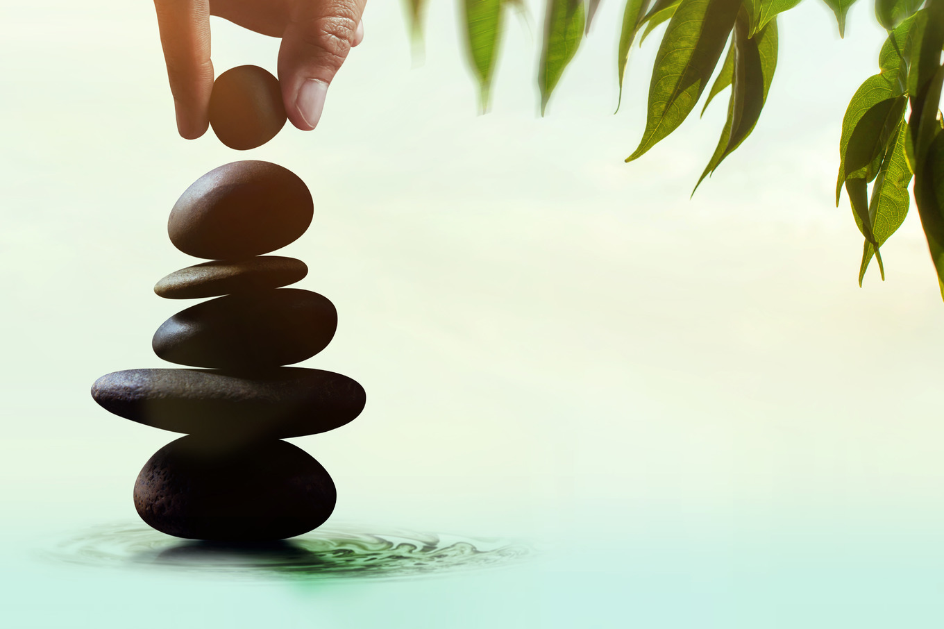 Life Balance Concept, a Background Photo by salmon.black