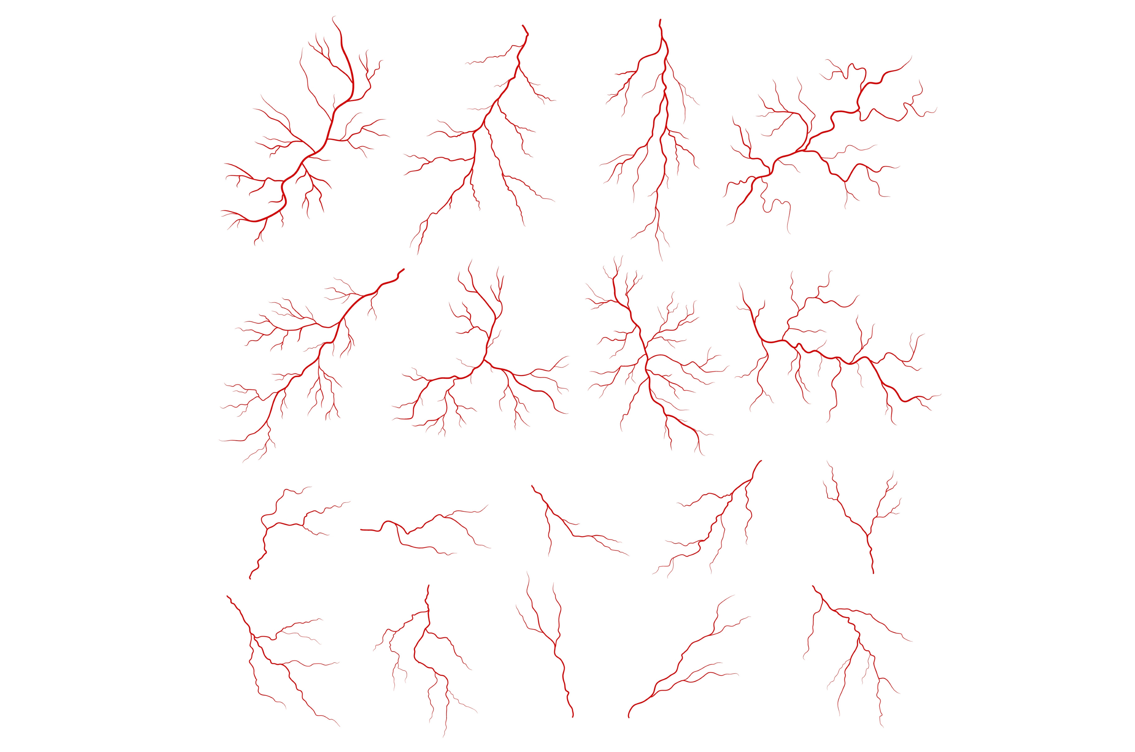 Human red veins anatomy, artery | Healthcare Illustrations ~ Creative ...