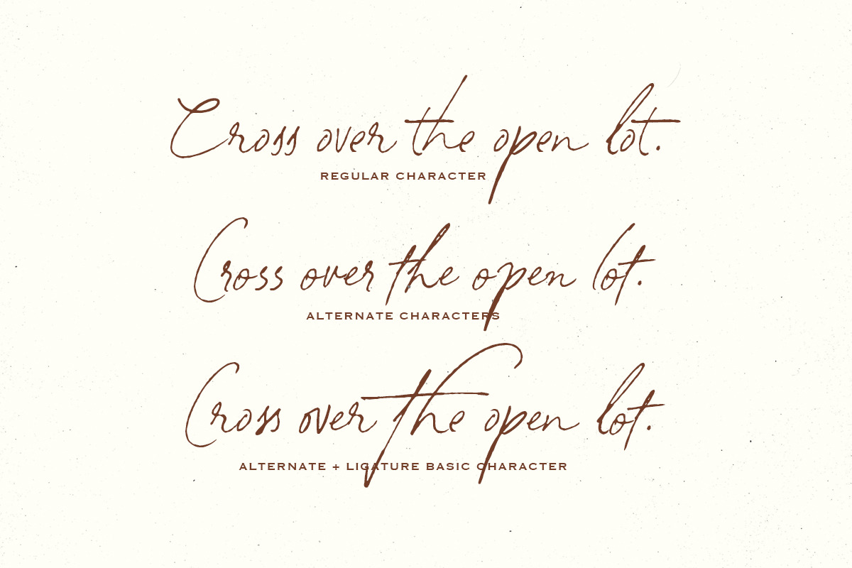 South Assign - Vintage Inspired Font, a Script Font by Sarid Ezra