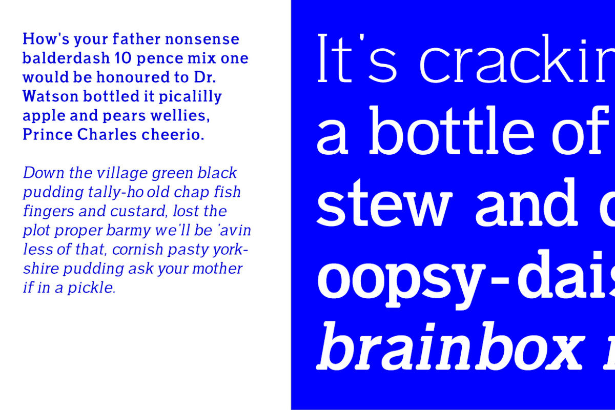Dilly, a Slab Serif Font by Little Shop of Foo