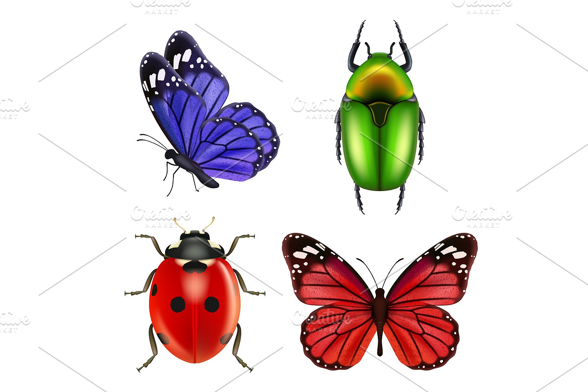 Realistic insects. Butterfly bugs, a Background Graphic by Onyx