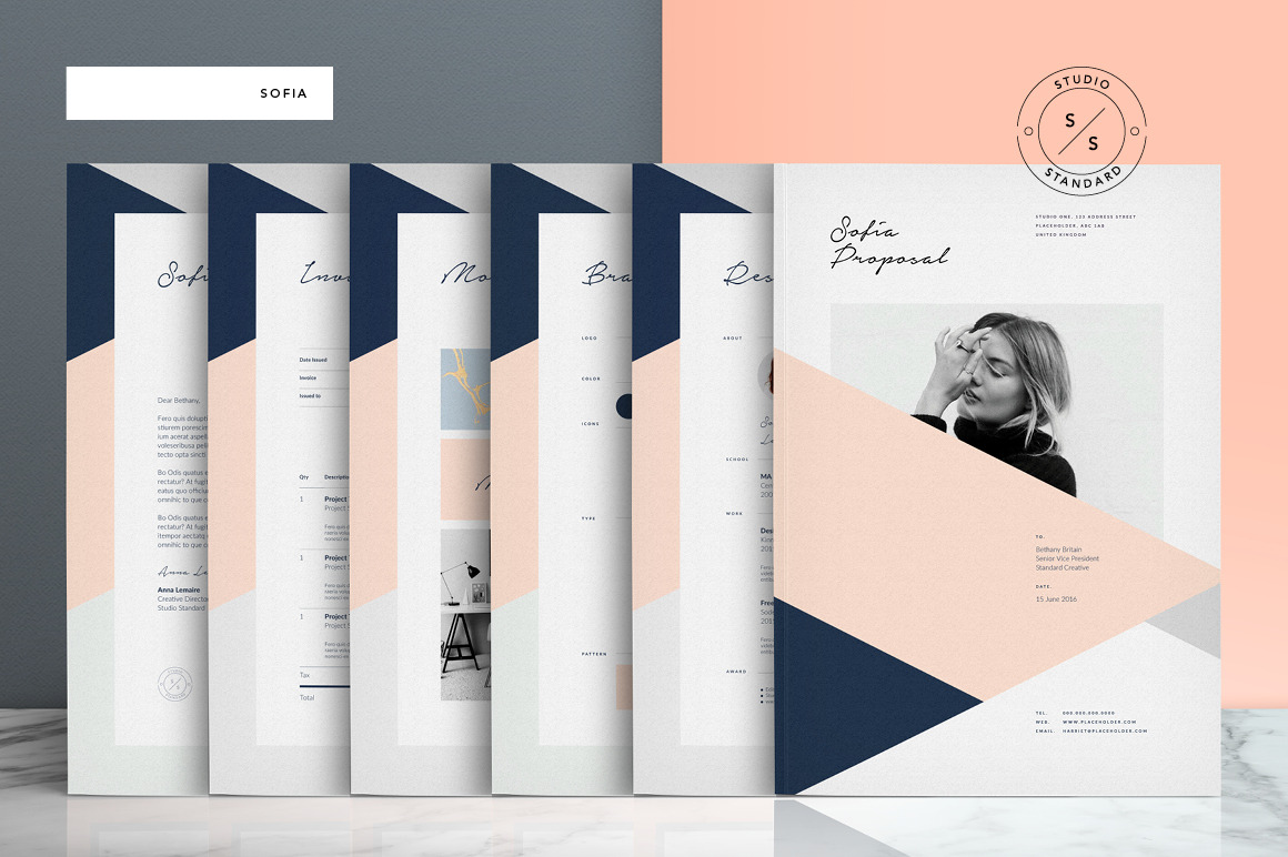 Sofia Pitch Pack, a Brochure Template by Studio Standard