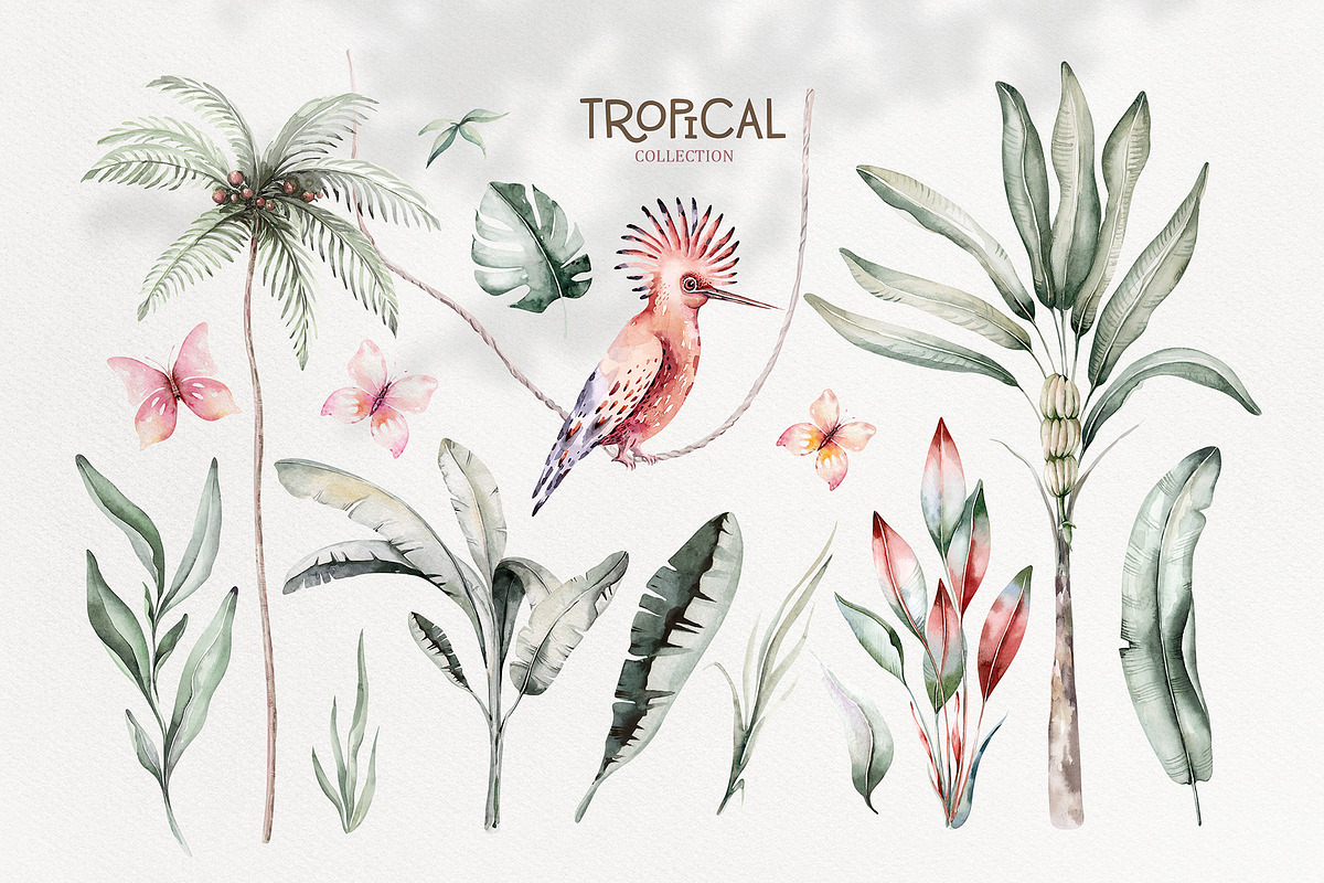 Tropical watercolor collection, an Animal Illustration by Peace ART