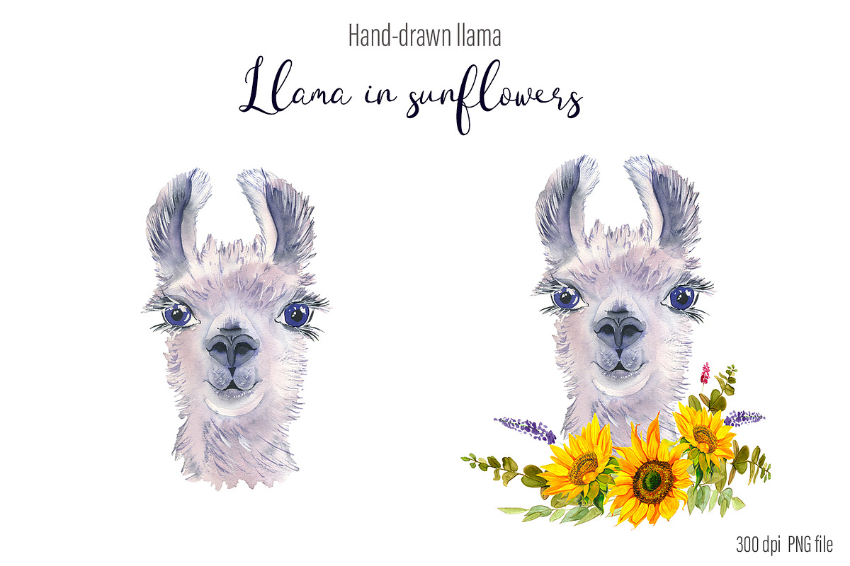 Watercolor Llama Clipart - Bundle, an Animal Illustration by ElenazlataArt