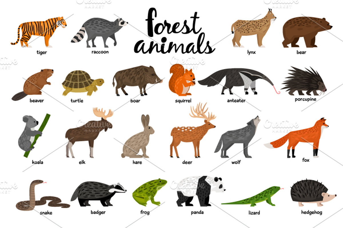 Big Set of Animals, an Object Graphic by ianakauri